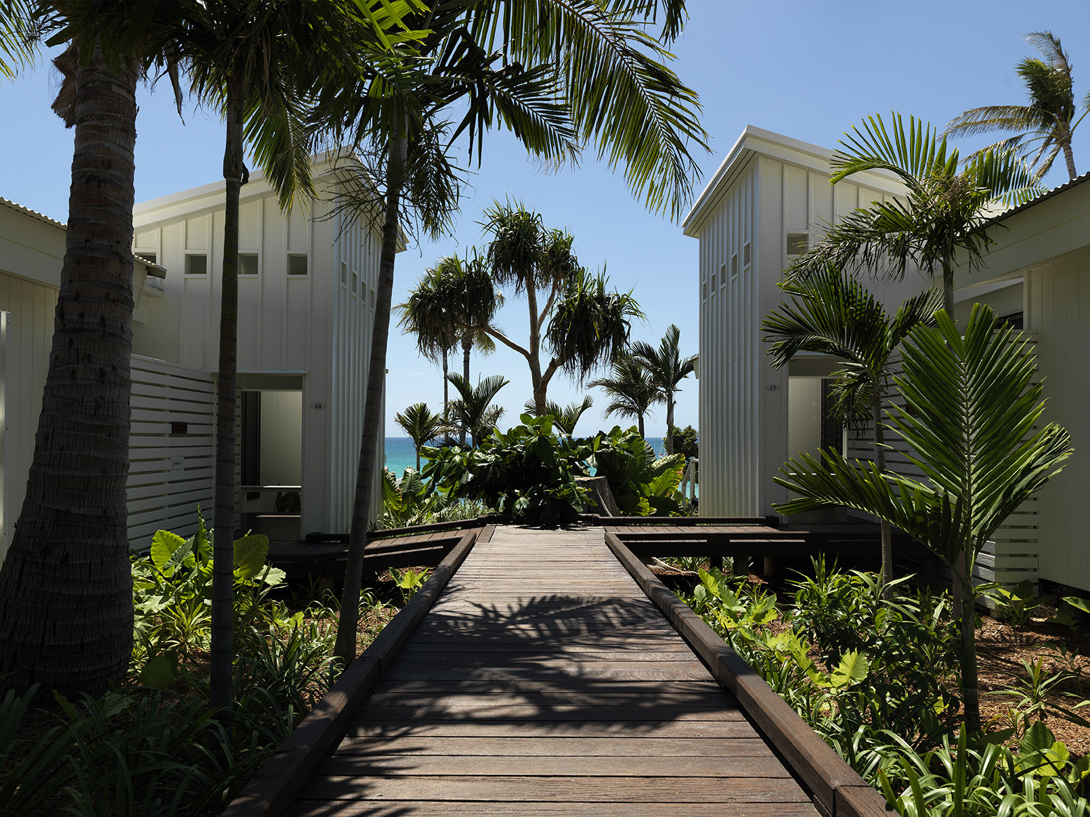 Food & Wine Festival em Lizard Island - Maior Viagem