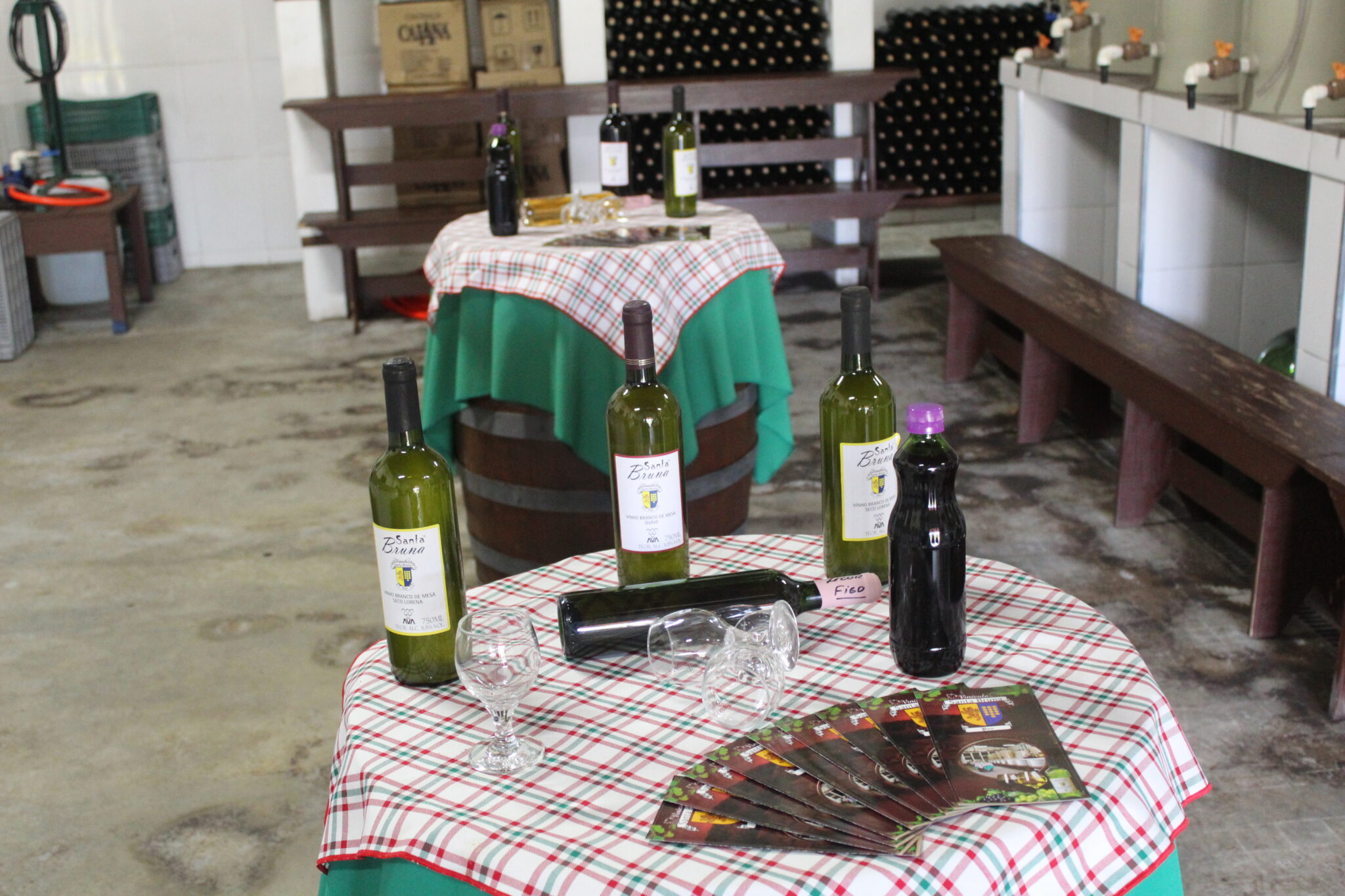 Tour pela Vinícola Santa Bruna perto de São Paulo - Maior Viagem